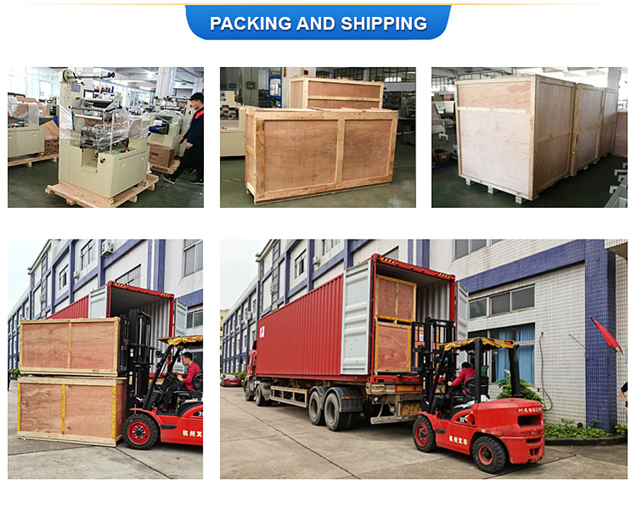 Vertical Glove Box Reagent Box Injection Tray Erector and Packing Machine